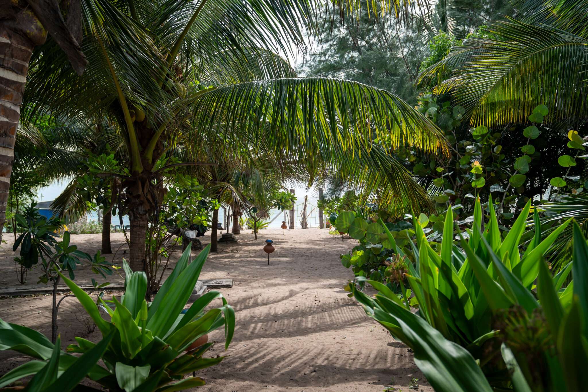 Gallery – Amanta Beach Resort